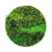 China Add a Touch of Green to Your Home with YZECO Customized Round Decor Moss Wall Frame for sale
