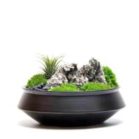 China Direct Wall Decoration Natural Preserved Moss with Customizable Size and OEM Service for sale