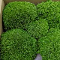 China Direct Wall Decoration Natural Preserved Moss with Customizable Size and OEM Service for sale