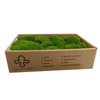China Direct Wall Decoration Natural Preserved Moss with Customizable Size and OEM Service for sale