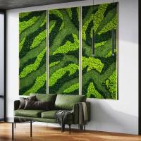 China Stabilized Artificial Plants Moss Wall for Company Indoor Decoration in Customized Colors for sale
