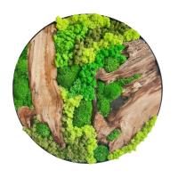 China Long Lasting Moss Green Wall Art Preserved Plant Frame DIY Design for Home and Decor for sale