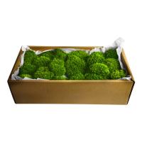 China Immortal Moss Engineering Landscaping Soft and Durable for Customized Size Plant Wall for sale