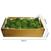 China Immortal Moss Engineering Landscaping Soft and Durable for Customized Size Plant Wall for sale