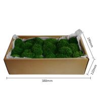 China Immortal Moss Engineering Landscaping Soft and Durable for Customized Size Plant Wall for sale