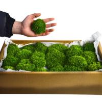 China Immortal Moss Engineering Landscaping Soft and Durable for Customized Size Plant Wall for sale