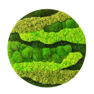China OEM ODM Accepted Customized 3D Real Natural Moss Wall Art Frame For Office Decoration for sale