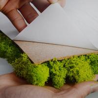 China Preserved Lichen Moss for Terrarium Supplies OEM Service Accepted and Customize Size for sale