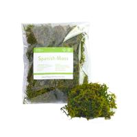 China OEM Service Accepted Green Plants Landscape Artificial Moss Whole Package for Home Decoration for sale