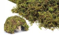 China OEM Service Accepted Green Plants Landscape Artificial Moss Whole Package for Home Decoration for sale