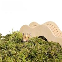 China OEM Service Accepted Green Plants Landscape Artificial Moss Whole Package for Home Decoration for sale