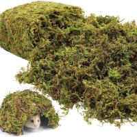 China OEM Service Accepted Green Plants Landscape Artificial Moss Whole Package for Home Decoration for sale