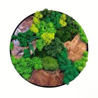 China Unique Handmade Wall Moss Art Preserved Moss Wall Picture Frame for Bedroom 20cm-120cm for sale