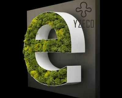 China Customized 3D Moss Letters And Symbols Wall Art For Decor With Preserved Natural Moss for sale