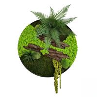 China Unique Handmade Wall Moss Art Preserved Moss Wall Picture Frame for Bedroom 20cm-120cm for sale