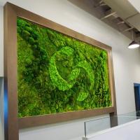 China Preserved 100% Natural Real Moss Wall Environmentally Friendly with Customized Logo for sale