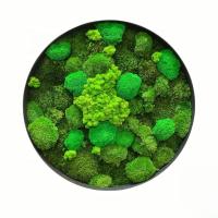 China Chinese Year Large Evergreen Oasis Cedar Wood Moss Wall Art Frame For Bedroom Wall Decor for sale