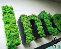 China Business Logo Green Moss Sign Letter Logo For Wall Decor Custom Color Accepts OEM ODM for sale