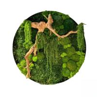 China Handmade Circle Moss Frame in Non-Fading Non-Toxic Customized Colors for Company for sale