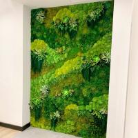 China Preserved 100% Natural Moss Wall Art in Customized Colors for Living Room Renovation for sale