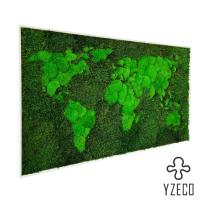 China Preserved 100% Natural Moss Wall Art in Customized Colors for Living Room Renovation for sale