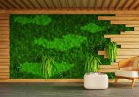 China Preserved 100% Natural Moss Wall Art in Customized Colors for Living Room Renovation for sale