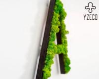 China Customized Size DIY Wood Look Moss Letters Sign for Office Wall Decor for sale