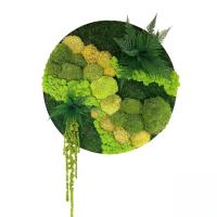 China Thanksgiving Occasion Living Room Stabilised Moss Wall Art Panels with Round Green Moss for sale