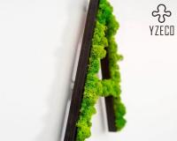 China Custom Moss Letters 3D Logo Sign for Company Decoration Year Occasion Acceptable OEM ODM for sale