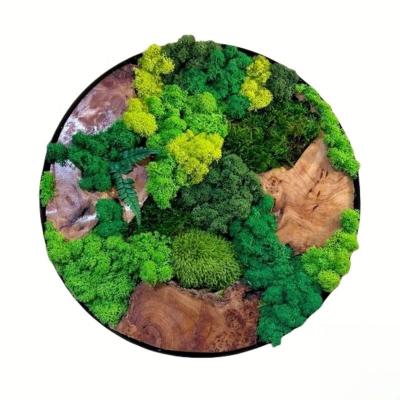 China Preserved Moss Frame Customized Logo Accepted for Handmade Art Decorations in Company for sale