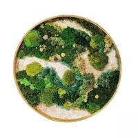 China Preserved Moss Frame Customized Logo Accepted for Handmade Art Decorations in Company for sale