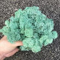 China 500G Green Fire Retardant Artificial Reindeer Moss Ideal for Valentine's Day Moss Panel for sale