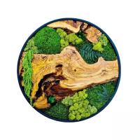 China Professional Manufacturers Custom Made Immortal Antler Moss Wall Frame for Outdoor Decoration for sale