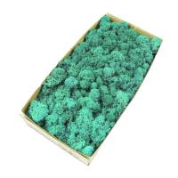 China Long Life 100% Natural Flame Retardant Reindeer Moss Art for Preserved Moss Wall Decor for sale