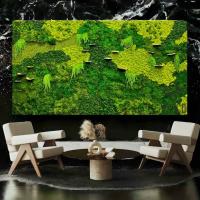 China OEM ODM Customized Colors 3D Stabilized Indoor Faux Plant Wall for Preserved Moss Art for sale