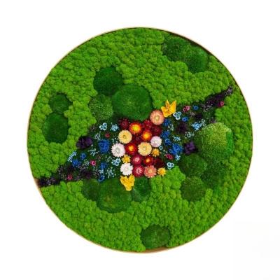 China Christmas Occasion 2024 Customized Long Lasting Moss Wall Art for Indoor Fairy Garden for sale