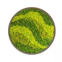 China Christmas Occasion 2024 Customized Long Lasting Moss Wall Art for Indoor Fairy Garden for sale