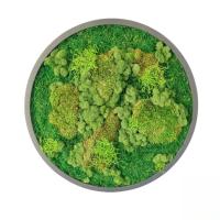 China Christmas Occasion 2024 Customized Long Lasting Moss Wall Art for Indoor Fairy Garden for sale
