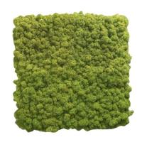 China Mother's Day Occasion Preserved Moss Wall Panel with OEM Service Accepted for sale