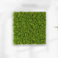 China Mother's Day Occasion Preserved Moss Wall Panel with OEM Service Accepted for sale