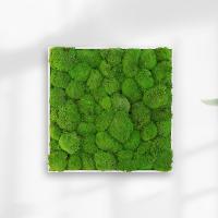 China Mother's Day Occasion Preserved Moss Wall Panel with OEM Service Accepted for sale