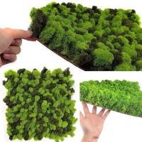 China Mother's Day Occasion Preserved Moss Wall Panel with OEM Service Accepted for sale