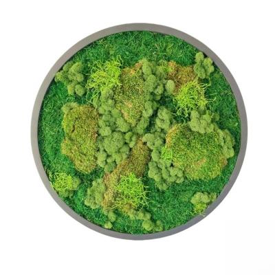 China Professional Preserved Moss Frame in Customized Size for Sophisticated Office Decor for sale
