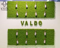 China Customization Natural Decor Preserved Moss Wall Logo Sign Minimalist Design for sale