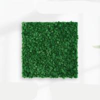 China Customized Eco-Friendly Preserved Moss Wall Panel For Home Decor Occasion Back to School for sale