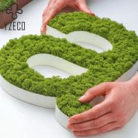 China Mother's Day Occasion Preserved 100% Natural Real Moss Letter Sign for Office Design for sale