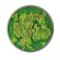 China Natural 3D Preserved Moss Wall Decoration Round Frame Art Panels With Customized Logo for sale