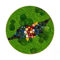 China Natural 3D Preserved Moss Wall Decoration Round Frame Art Panels With Customized Logo for sale