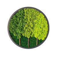 China OEM ODM Aceptable Modern Customized Logo Green Plants Moss Wall Frame For Office for sale