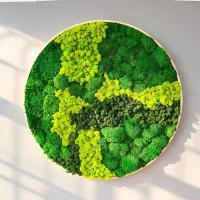 China OEM ODM Aceptable Modern Customized Logo Green Plants Moss Wall Frame For Office for sale